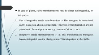 Gene Transformation Techniques | PPTX