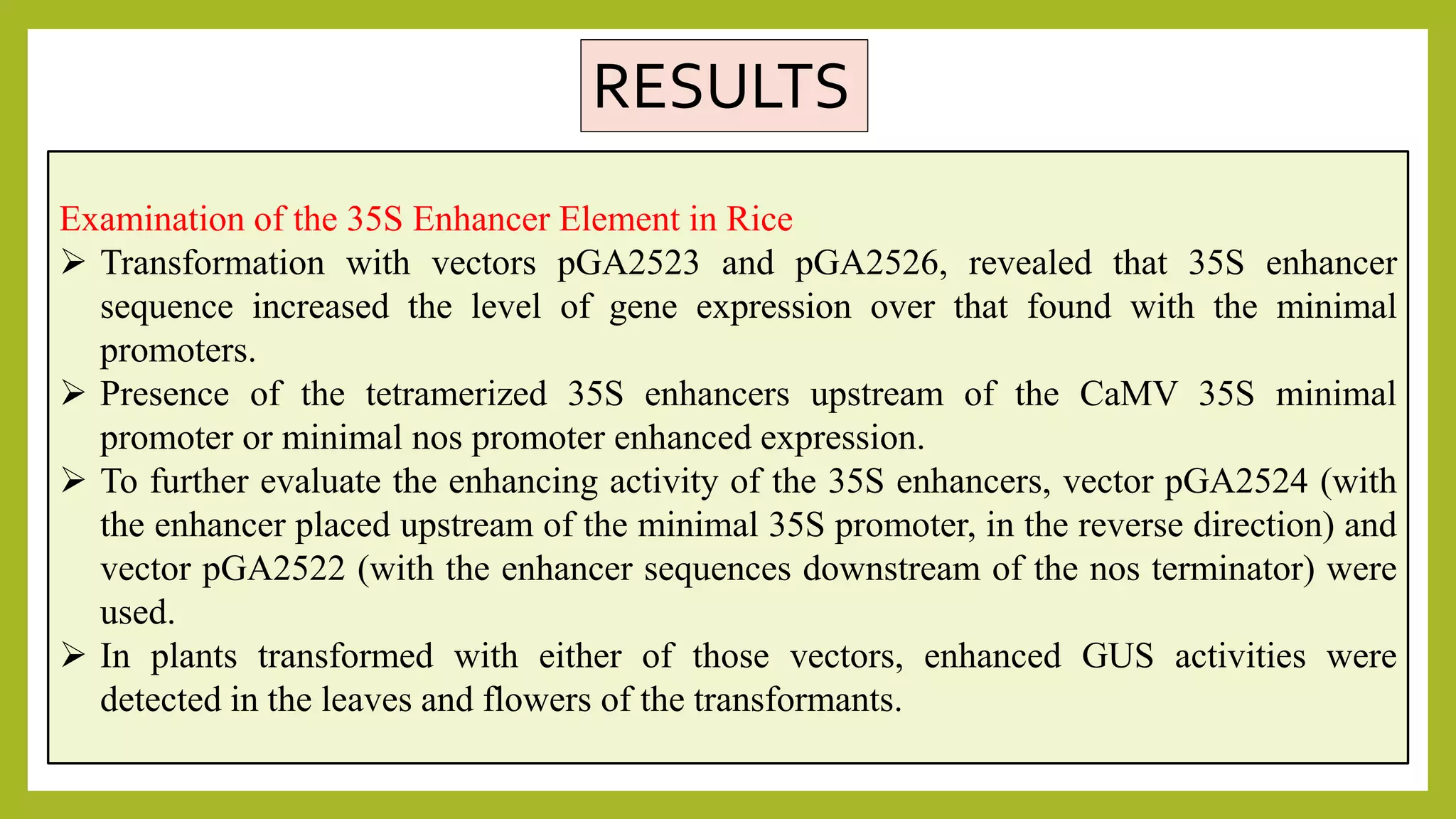 TDNA tagging and case study | PPTX
