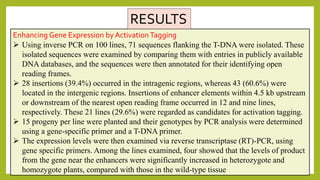 TDNA tagging and case study | PPTX