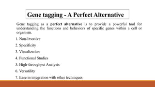 TDNA tagging and case study | PPTX