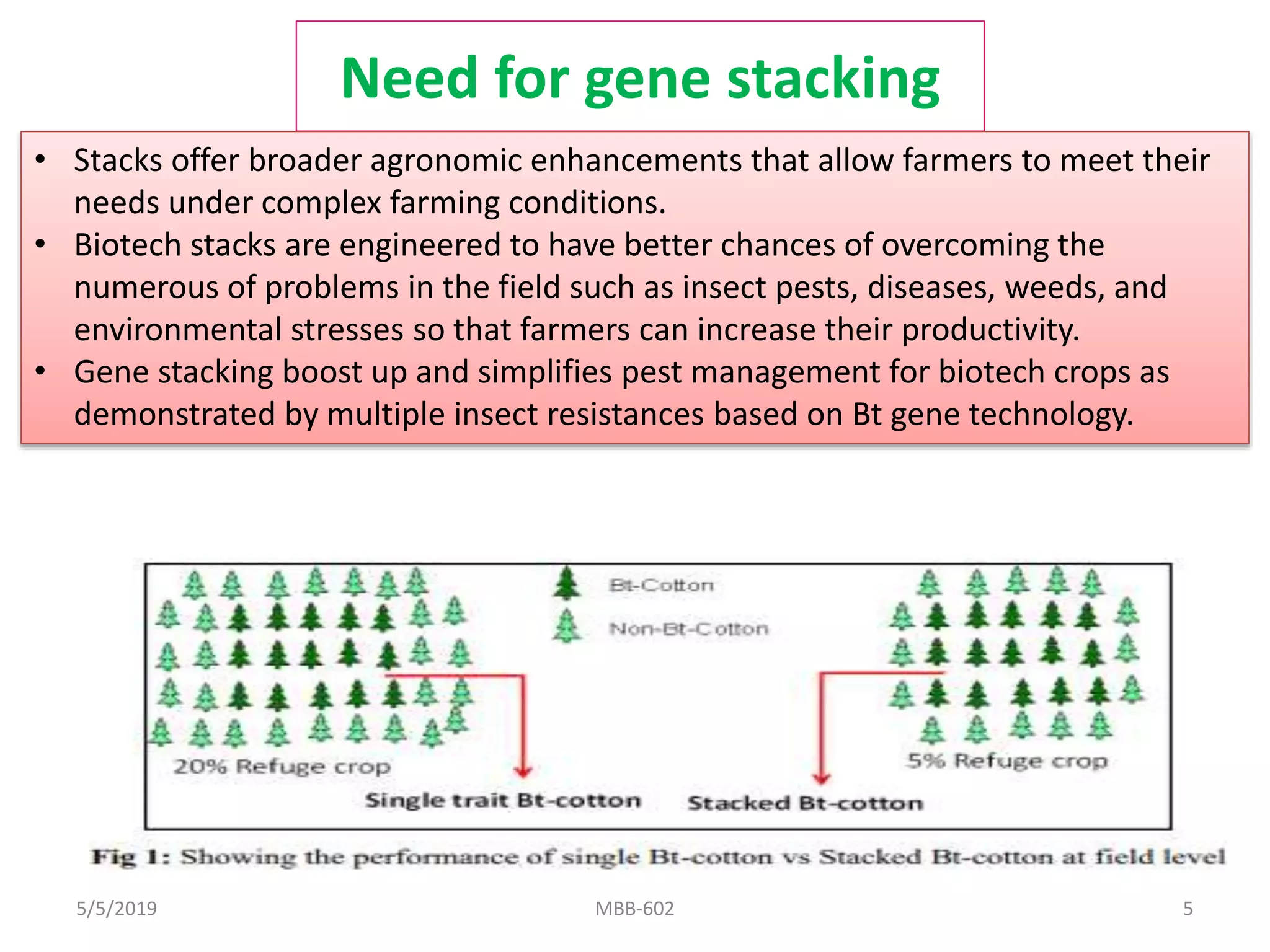 Gene stacking | PPTX