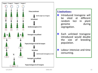 Gene stacking | PPTX