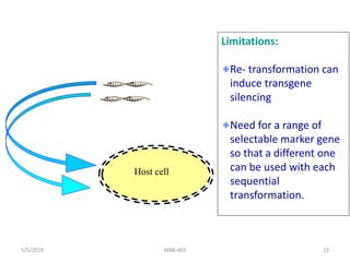 Gene stacking | PPTX