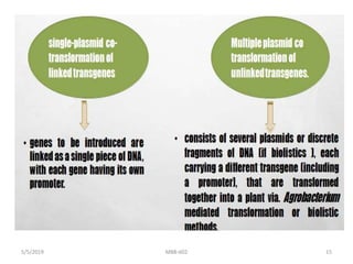 Gene stacking | PPTX
