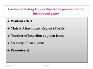 Gene stacking | PPTX