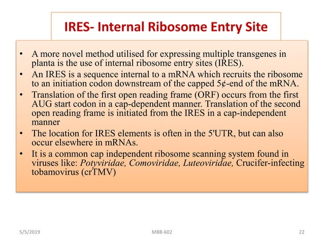 Gene stacking | PPTX
