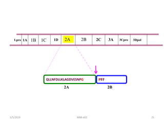 Gene stacking | PPTX