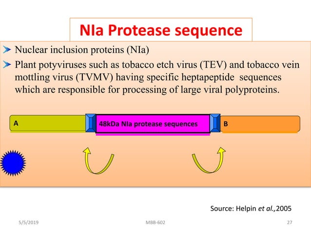 Gene stacking | PPTX