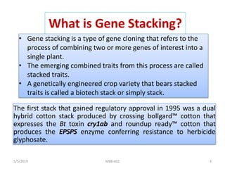 Gene stacking | PPTX