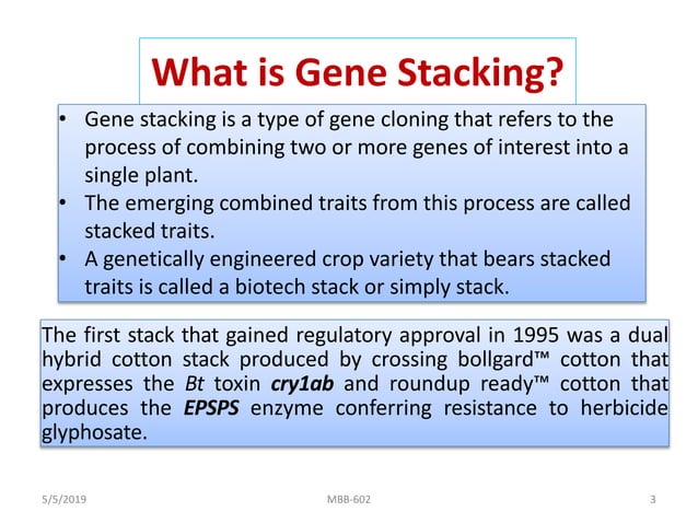 Gene stacking | PPTX