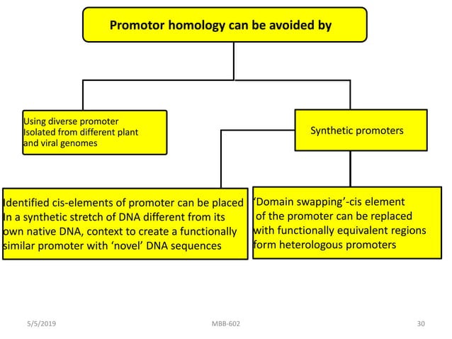Gene stacking | PPTX