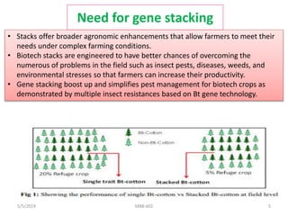 Gene stacking | PPTX