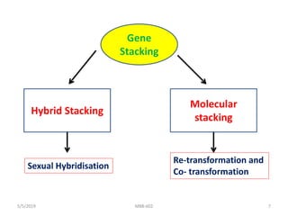 Gene stacking | PPTX