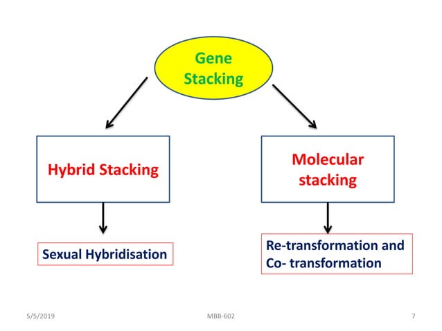 Gene stacking | PPTX