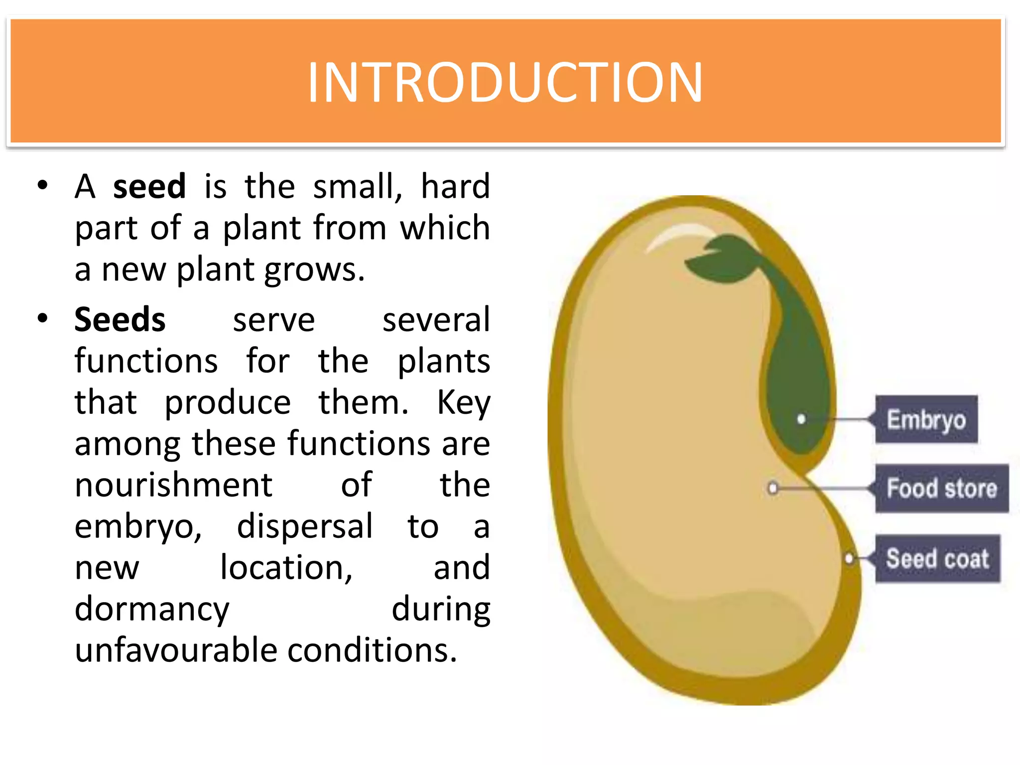 Synthetic seeds | PPTX
