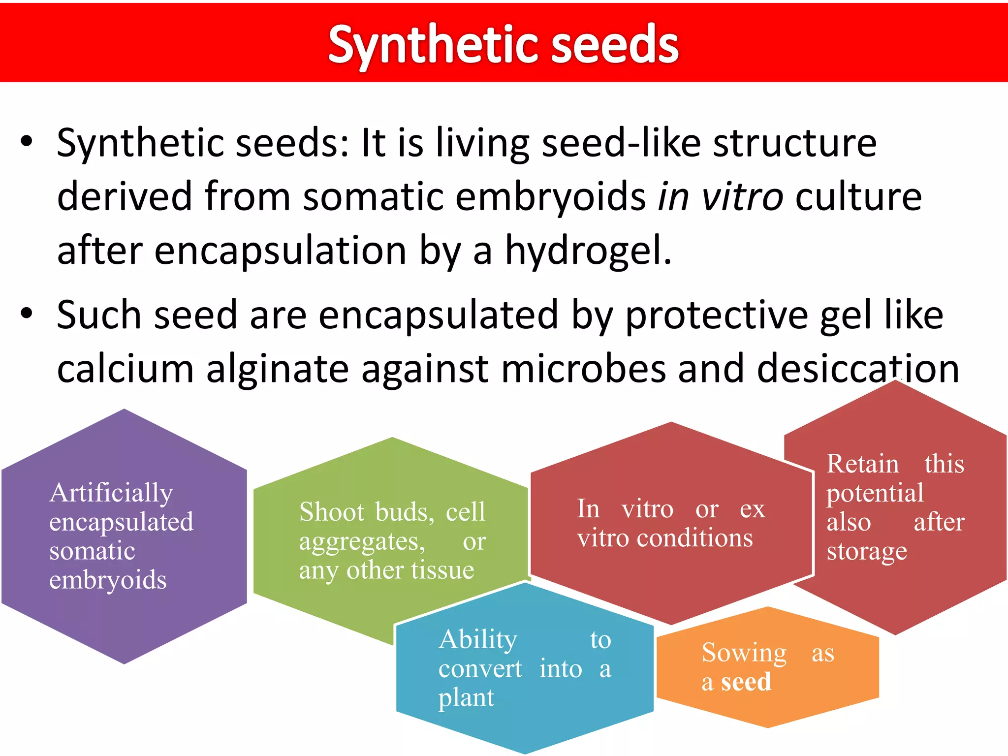 Synthetic seeds | PPTX