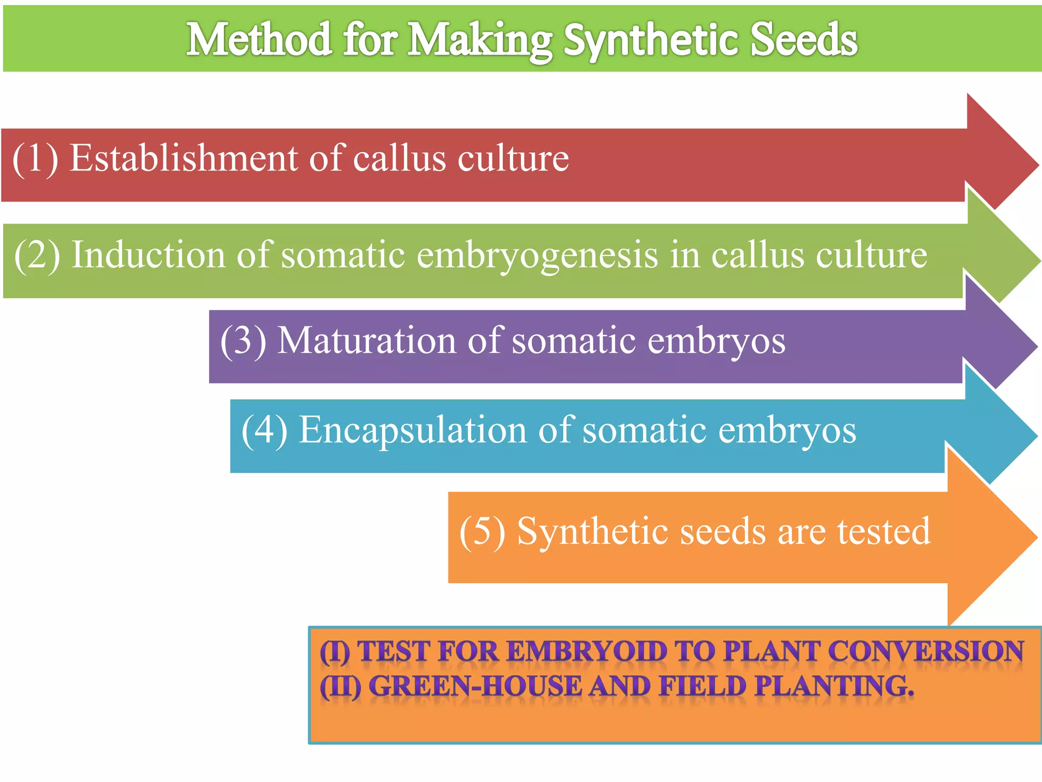 Synthetic seeds | PPTX