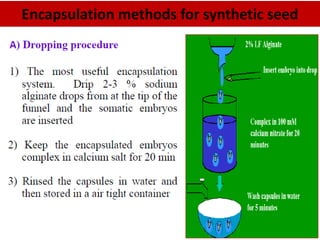 Synthetic seeds | PPTX