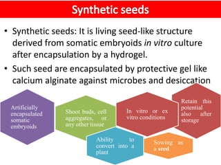 Synthetic seeds | PPTX