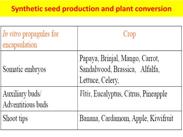 Synthetic seeds | PPTX