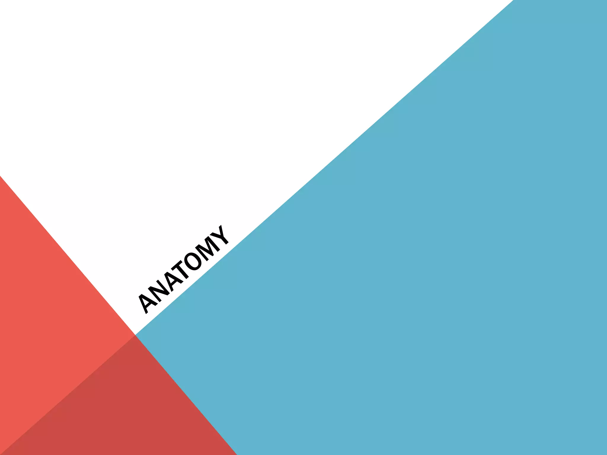 MBB Anatomy | PPTX | Thyroid Disorders | Endocrine and Metabolic Diseases