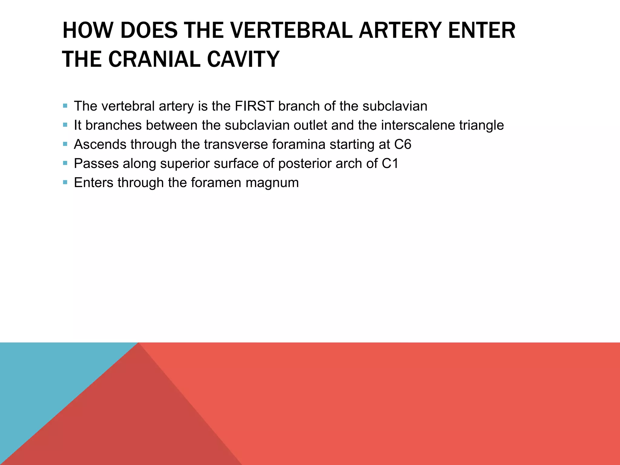 MBB Anatomy | PPTX