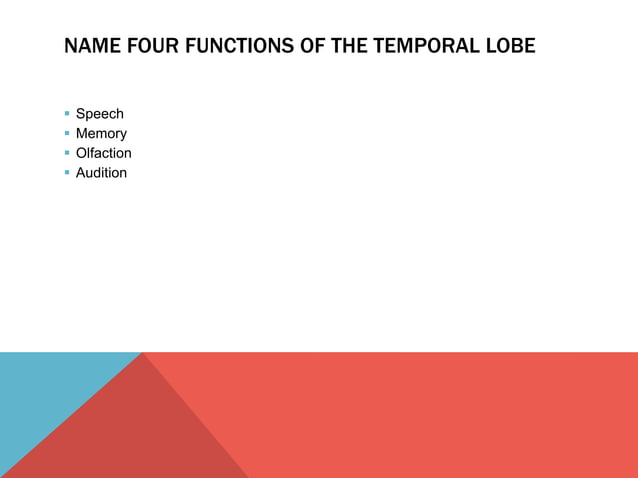 MBB Anatomy | PPTX | Thyroid Disorders | Endocrine and Metabolic Diseases