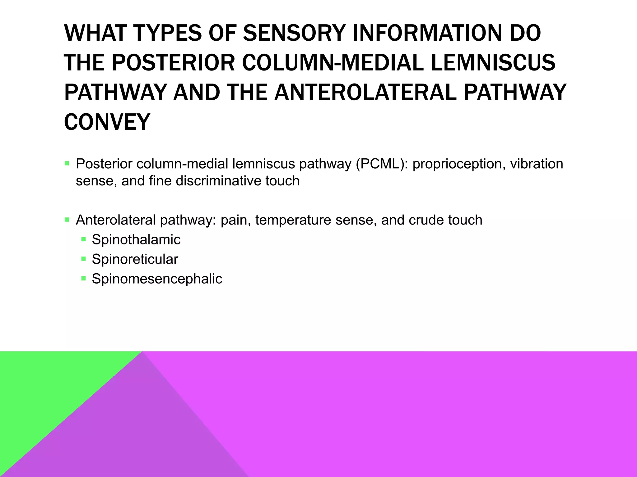 MBB Localizing Lesions | PPT
