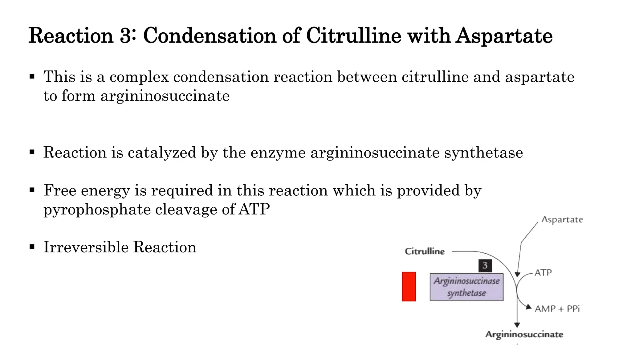 MBBS UREA CYCLE, STEPS, CLINICAL ASPECTS | PPTX