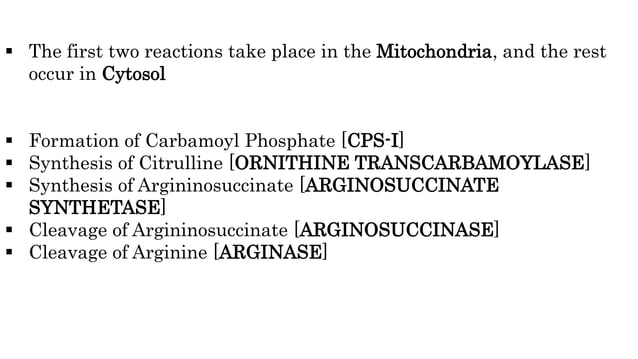 MBBS UREA CYCLE, STEPS, CLINICAL ASPECTS | PPT