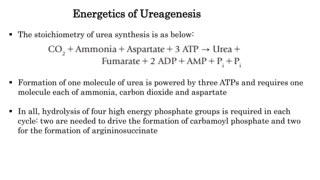 MBBS UREA CYCLE, STEPS, CLINICAL ASPECTS | PPT