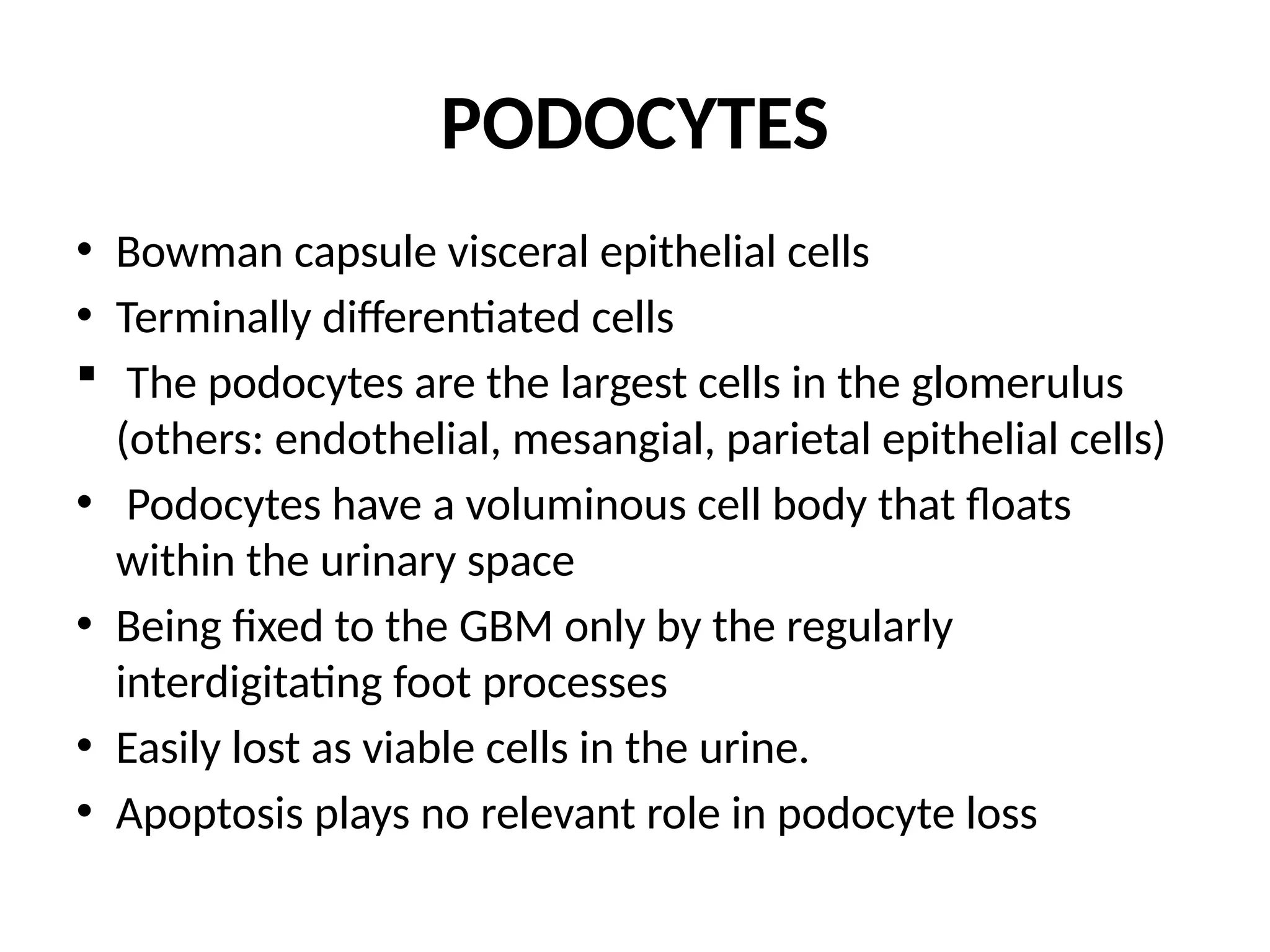 MBBS ANATOMY AND PHYSIOLOGY OF THE KIDNEYS.pdf