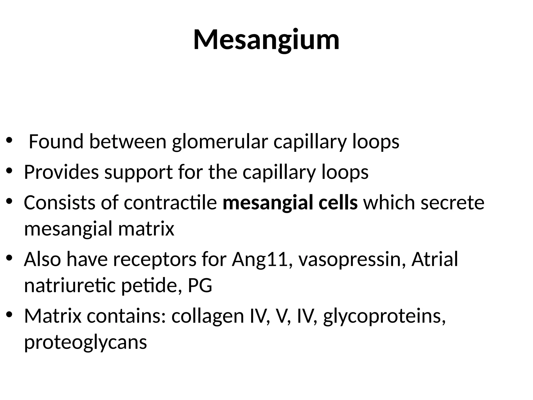 MBBS ANATOMY AND PHYSIOLOGY OF THE KIDNEYS.pdf
