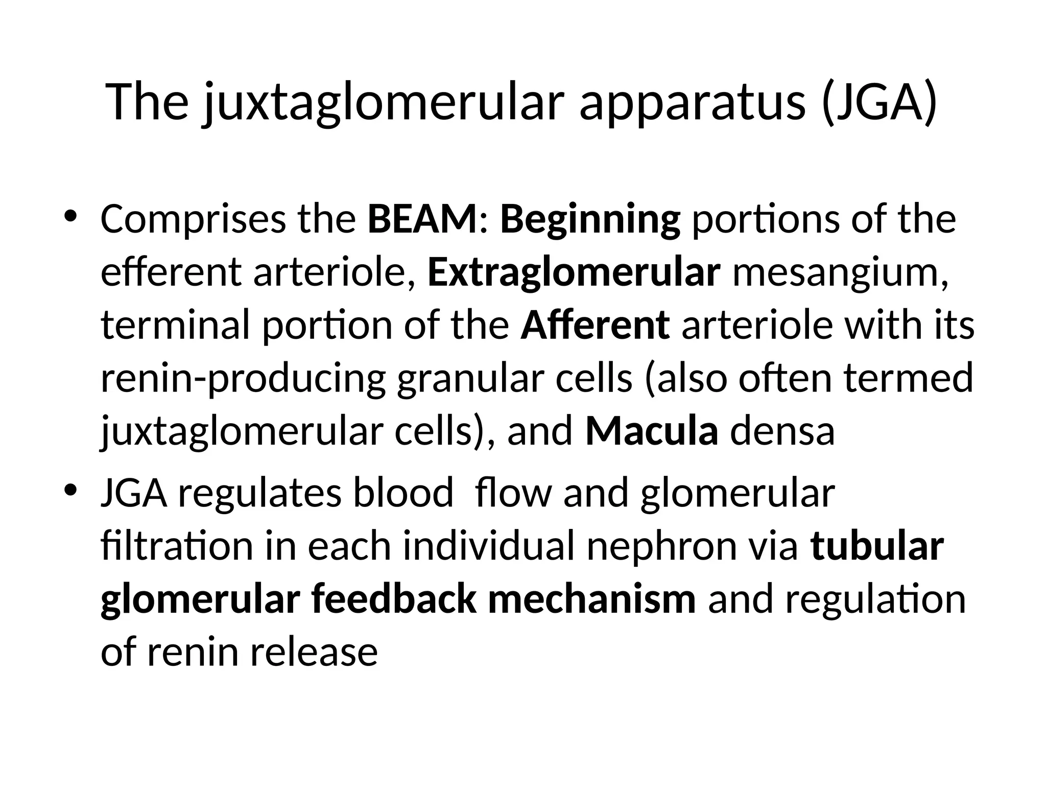 MBBS ANATOMY AND PHYSIOLOGY OF THE KIDNEYS.pdf