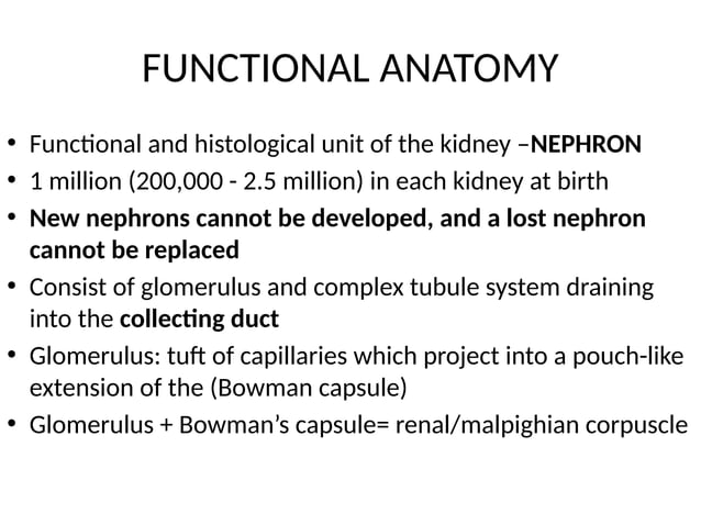 MBBS ANATOMY AND PHYSIOLOGY OF THE KIDNEYS.pdf