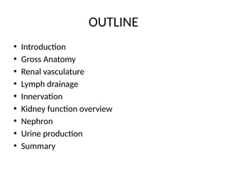 MBBS ANATOMY AND PHYSIOLOGY OF THE KIDNEYS.pdf