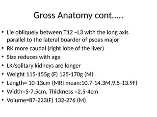MBBS ANATOMY AND PHYSIOLOGY OF THE KIDNEYS.pdf