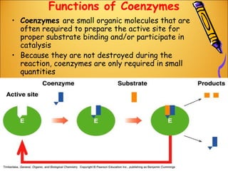 Enzymes ,Lecture-1 | PPT | Chemistry | Science