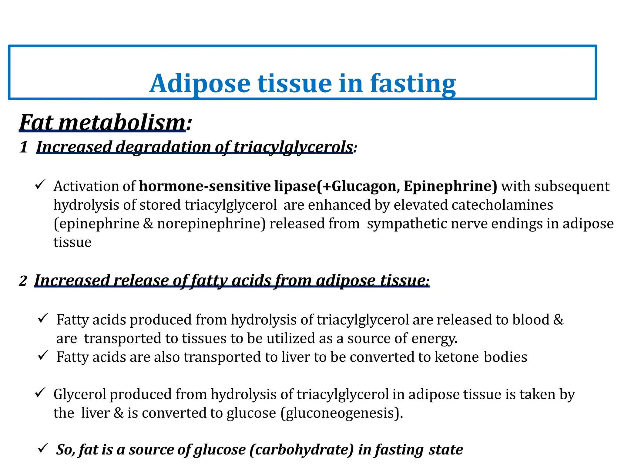 FEED FAST CYCLE DETAILS. METABOLISM IN WEL FED AND FASTING STATE | PPTX