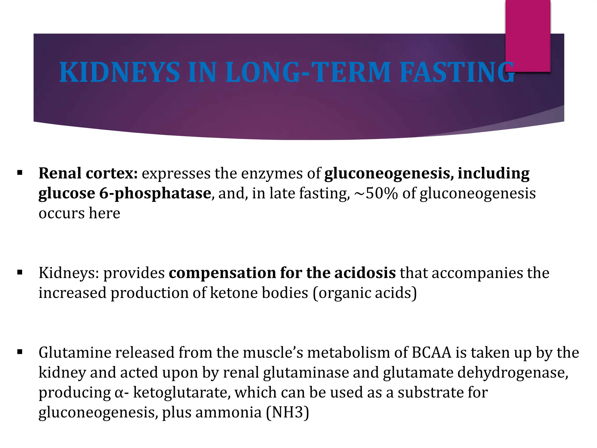 FEED FAST CYCLE DETAILS. METABOLISM IN WEL FED AND FASTING STATE | PPTX