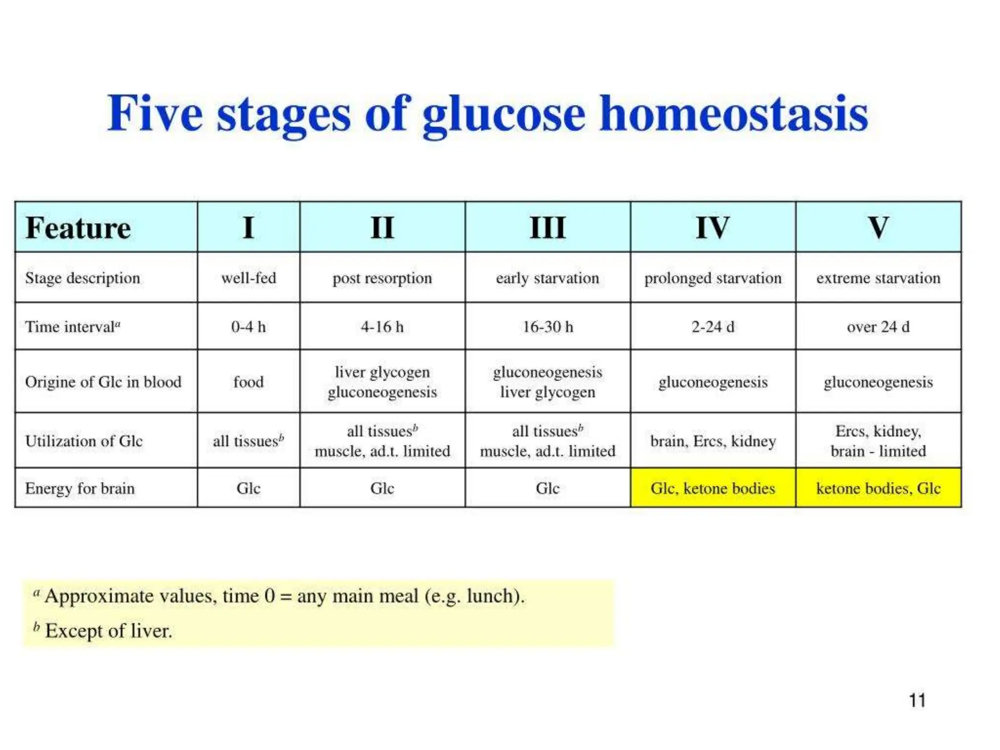 FEED FAST CYCLE DETAILS. METABOLISM IN WEL FED AND FASTING STATE | PPTX