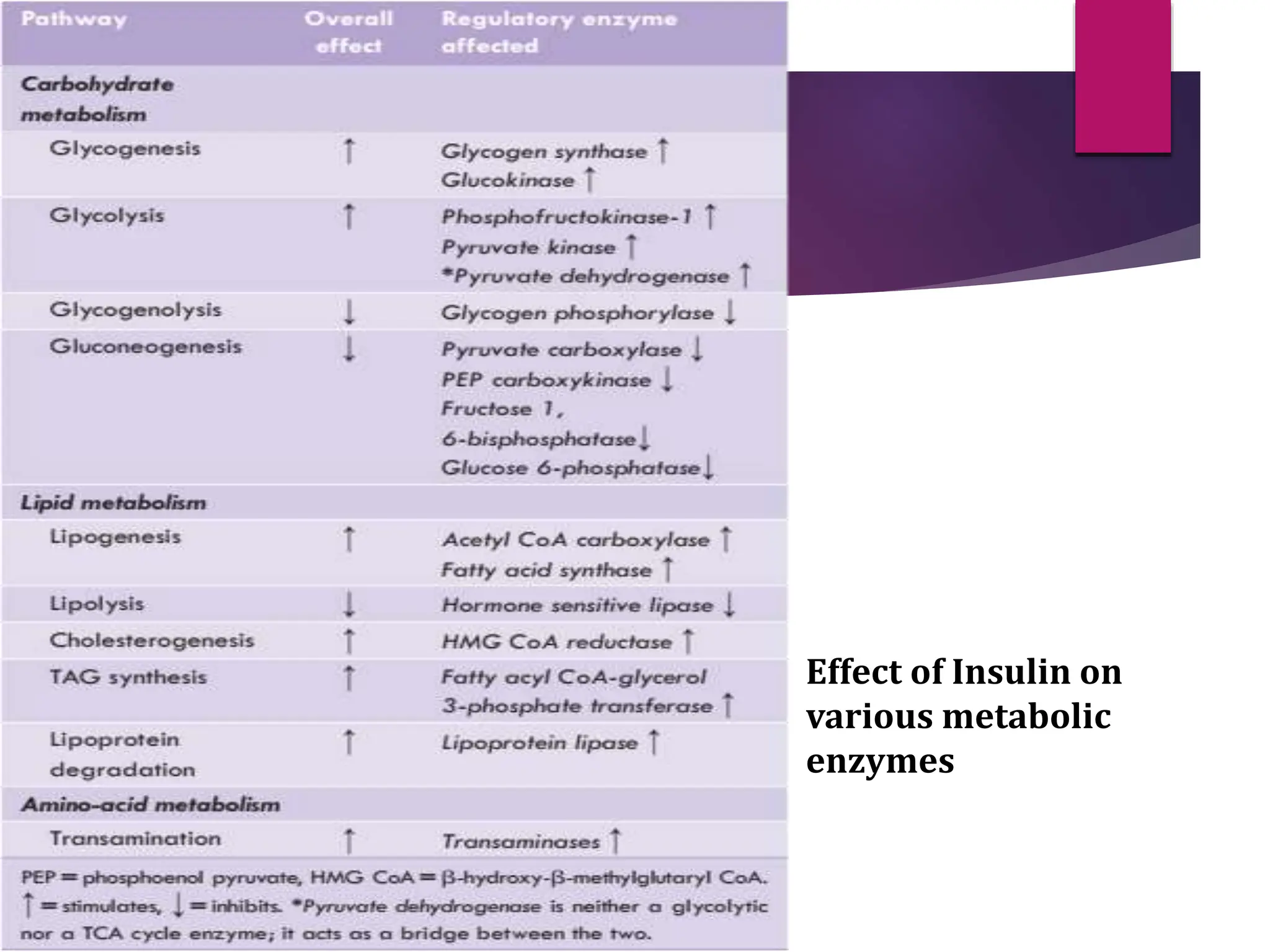 FEED FAST CYCLE DETAILS. METABOLISM IN WEL FED AND FASTING STATE | PPTX