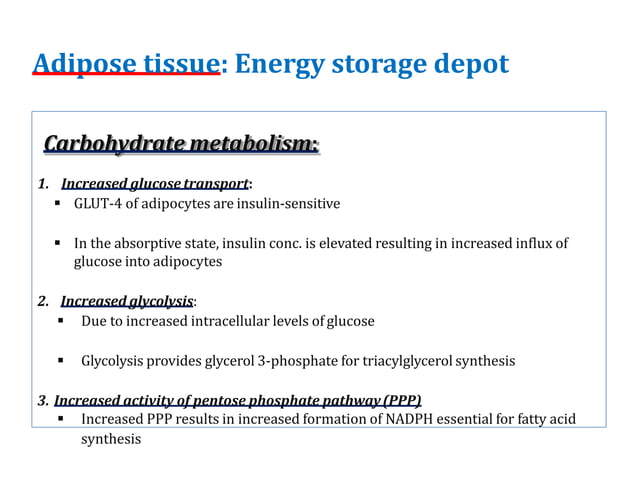 FEED FAST CYCLE DETAILS. METABOLISM IN WEL FED AND FASTING STATE | PPTX