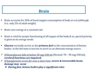 FEED FAST CYCLE DETAILS. METABOLISM IN WEL FED AND FASTING STATE | PPTX