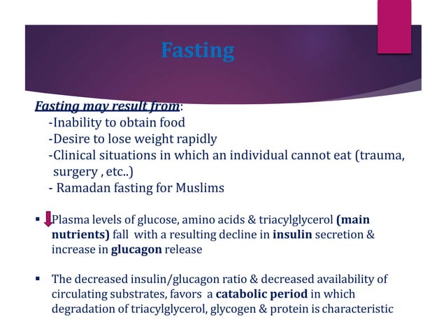 FEED FAST CYCLE DETAILS. METABOLISM IN WEL FED AND FASTING STATE | PPTX