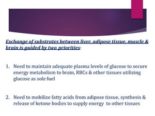 FEED FAST CYCLE DETAILS. METABOLISM IN WEL FED AND FASTING STATE | PPTX