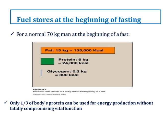FEED FAST CYCLE DETAILS. METABOLISM IN WEL FED AND FASTING STATE | PPTX