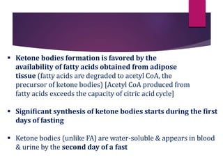 FEED FAST CYCLE DETAILS. METABOLISM IN WEL FED AND FASTING STATE | PPTX