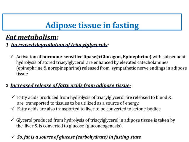 FEED FAST CYCLE DETAILS. METABOLISM IN WEL FED AND FASTING STATE | PPTX