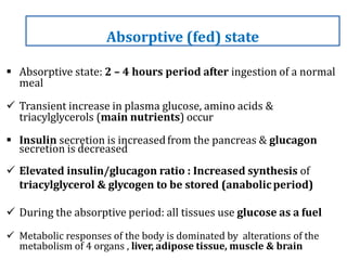 FEED FAST CYCLE DETAILS. METABOLISM IN WEL FED AND FASTING STATE | PPTX